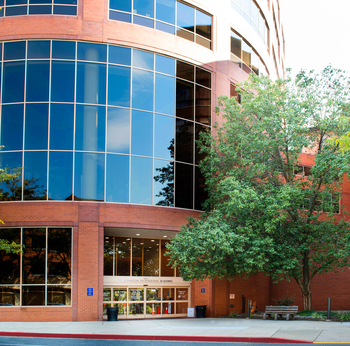 Hand Therapy at The Curtis National Hand Center | 21218 | MedStar Health
