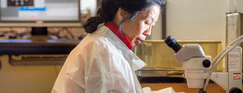 Medical Scientific Core Services | MedStar Health Research Institute ...