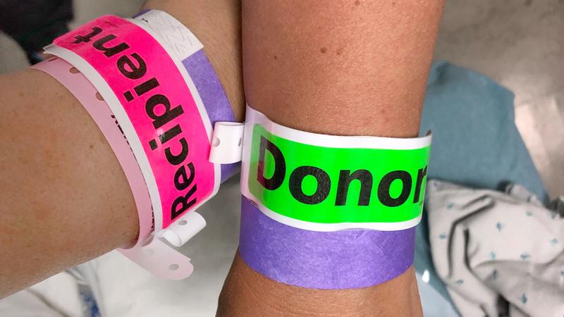 Medical Alert Bracelets for Seniors - 24hourwristbands Blog